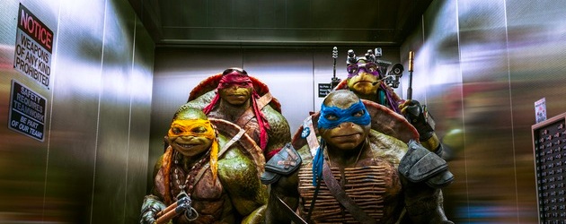 “Teenage Mutant Ninja Turtles” Clip: Beating Boxing Turtles Prepare To ...